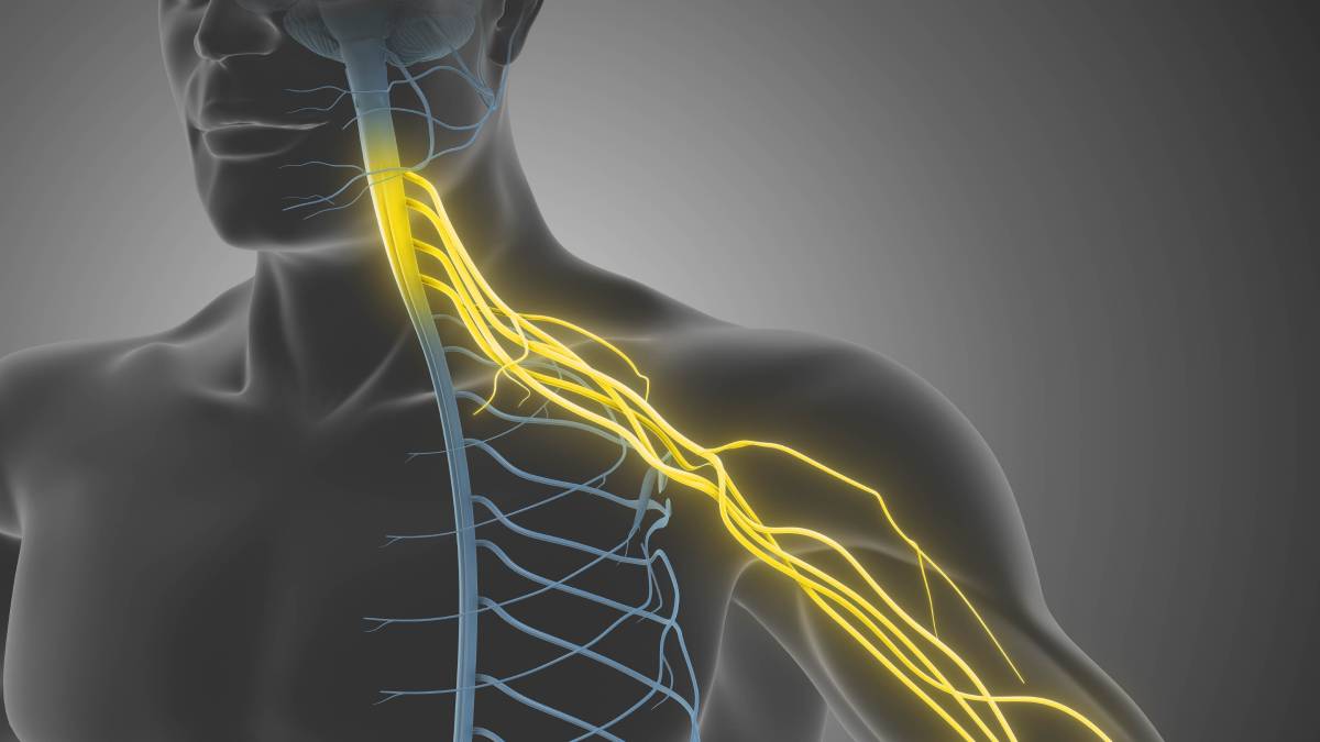 Factors Affecting the Duration of Peripheral Nerve Block - Colorado ...